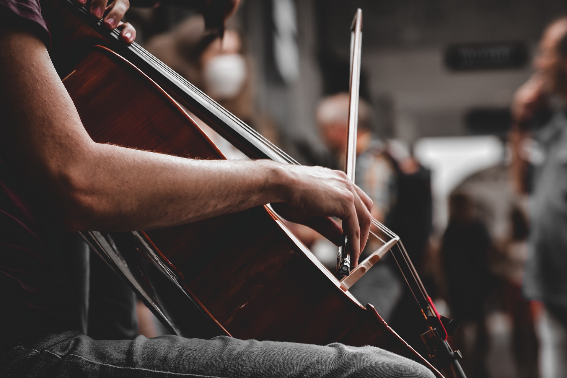 Corso di violoncello a Vicenza- Lezioni per principianti e avanzati